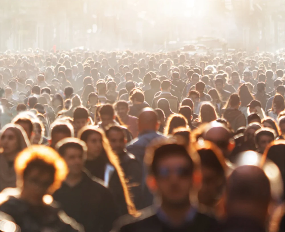 Hayo — Bringing Innovation to Life