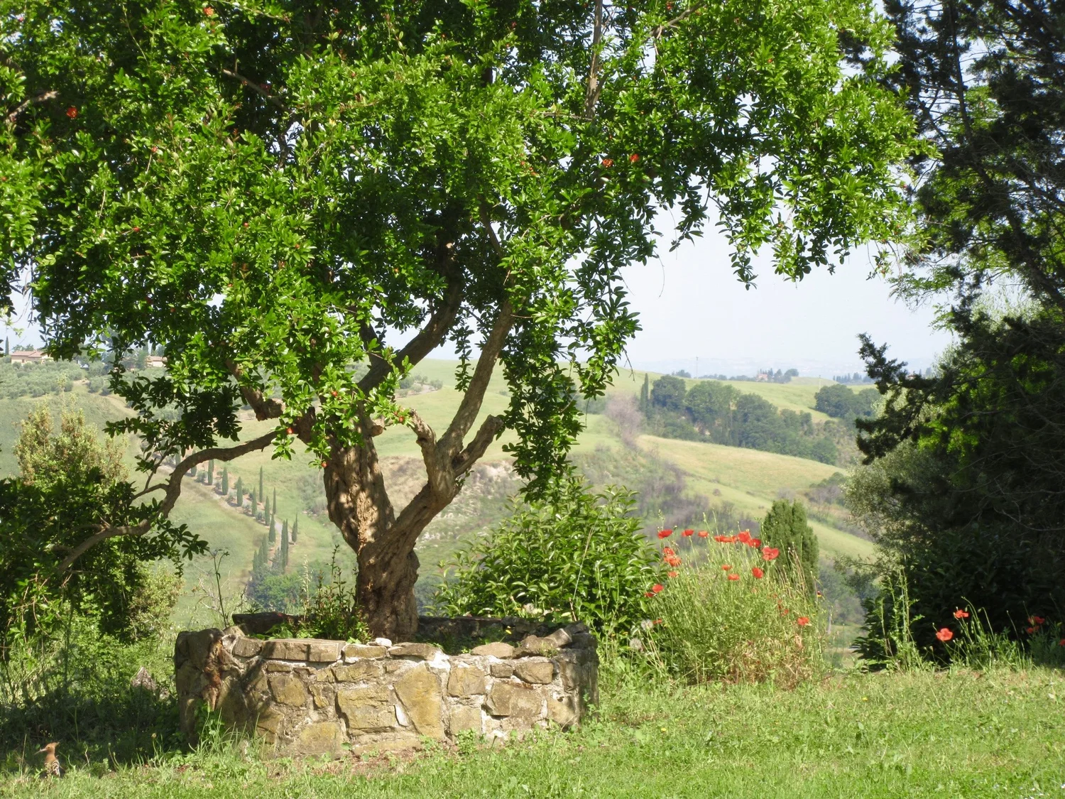 The Perfect Itinerary for Your First Trip to Italy — The Bella Boot