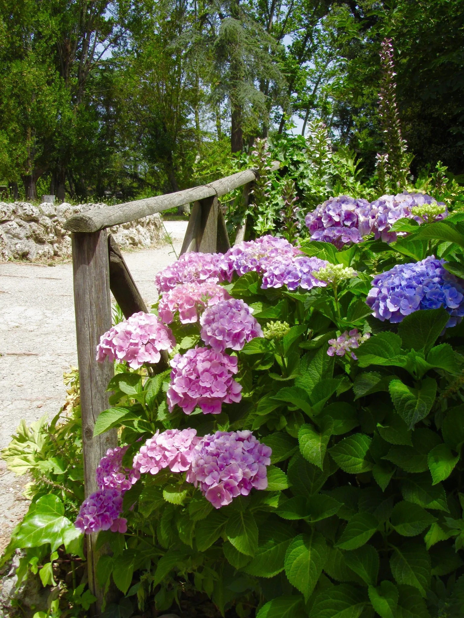 Travel Diary: 5 Days in Beautiful Umbria — The Bella Boot