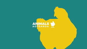 Animals Aotearoa — [User-Friendly]