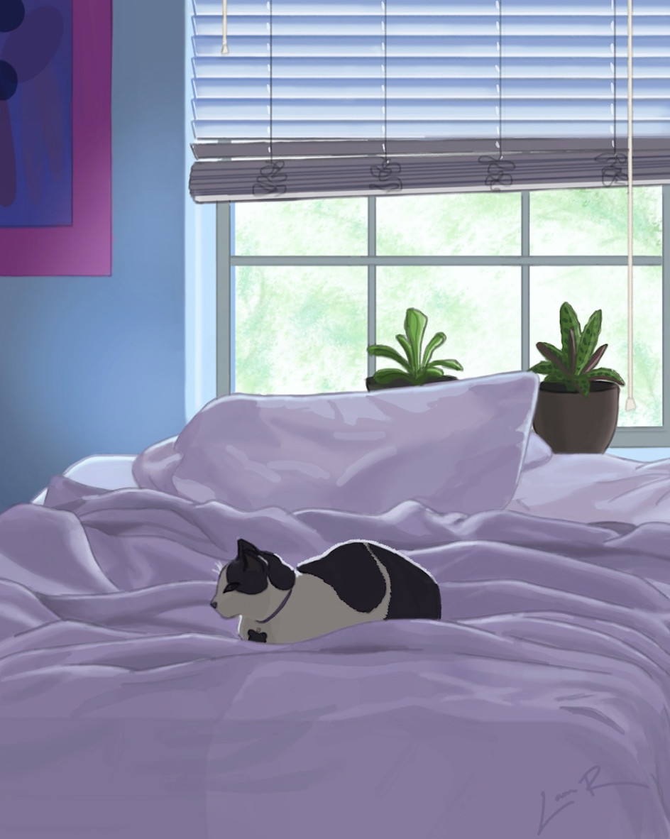 Student-Made Arizona