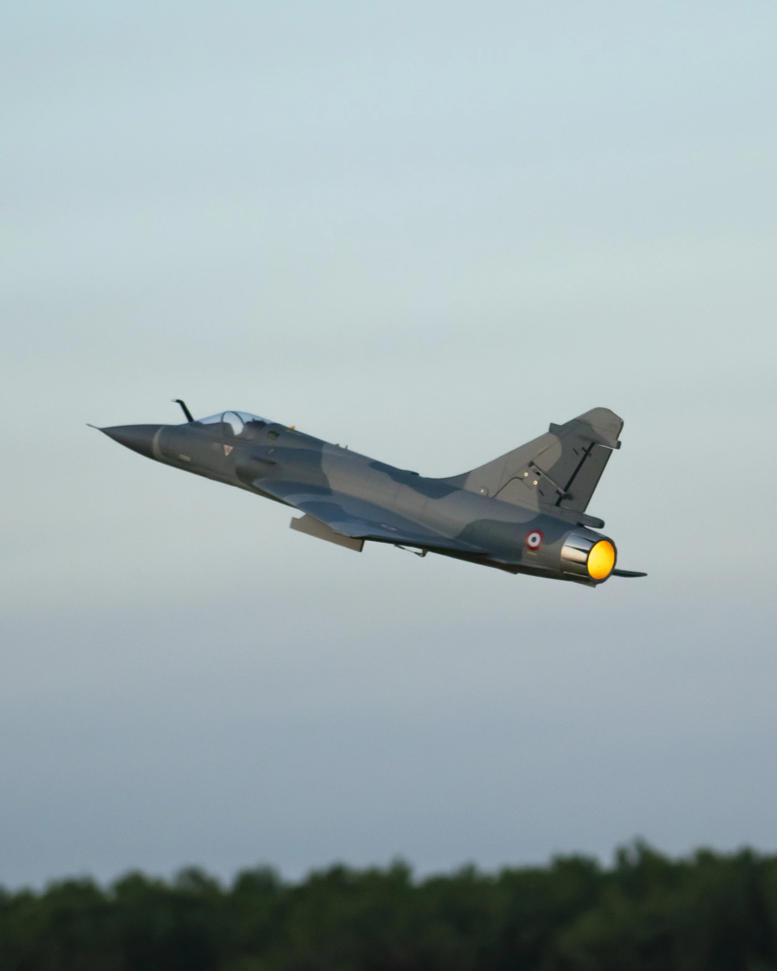 Before you fly the Freewing Mirage 2000C 80mm — Hangar14 RC