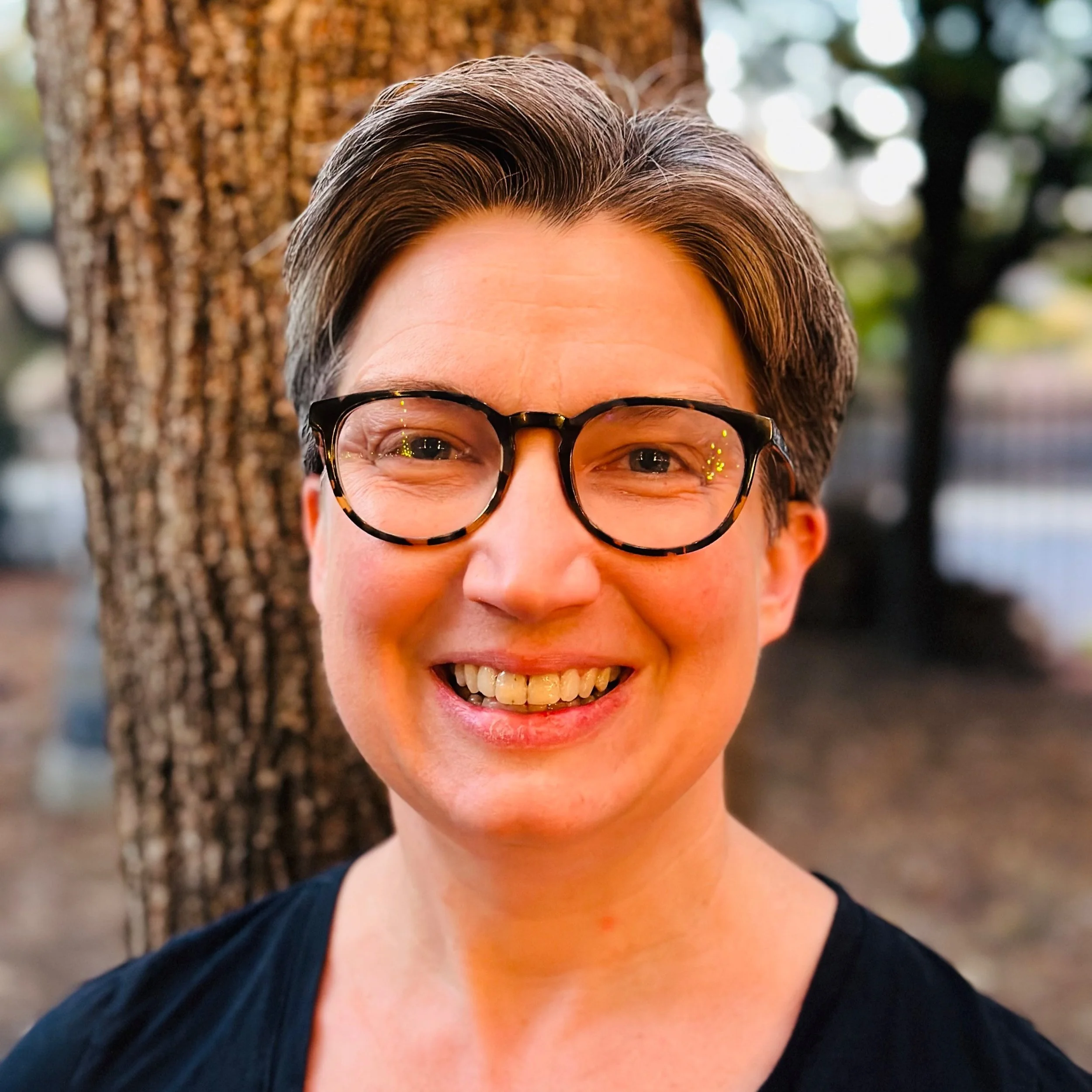 About — McKinley Park Development Council