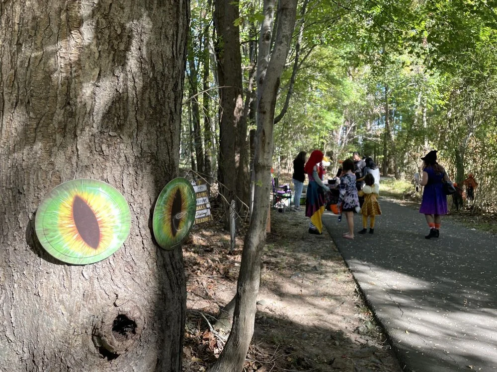 Top October Events in Raleigh: Fall Festivals, Halloween Fun, and Local ...