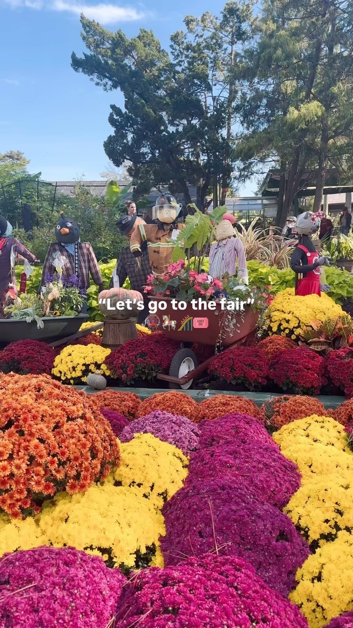 Top October Events in Raleigh: Fall Festivals, Halloween Fun, and Local ...