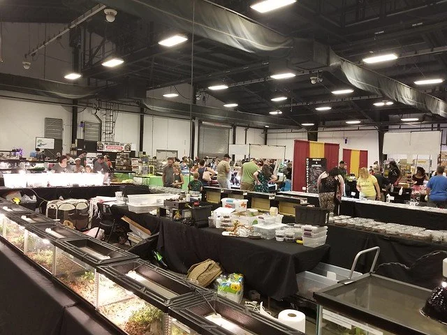 Repticon — Thriving in Raleigh