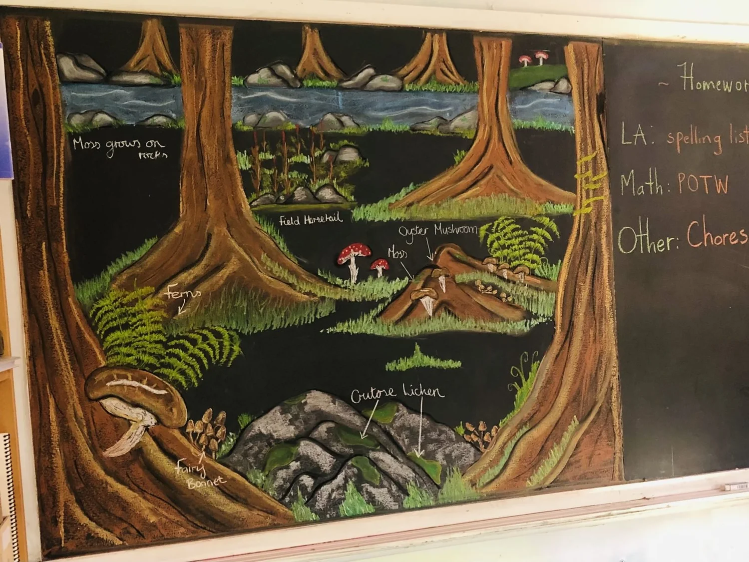 Botany and the Fifth-Grader — Waldorf Academy Toronto