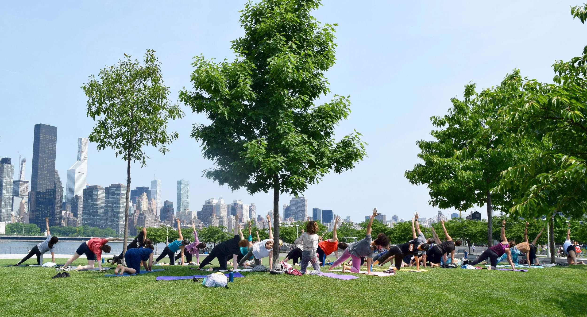 Programs — Hunters Point Parks Conservancy