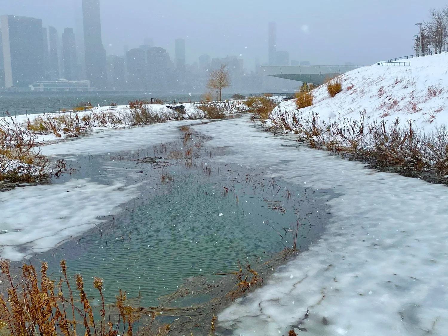 About Our Parks — Hunters Point Parks Conservancy