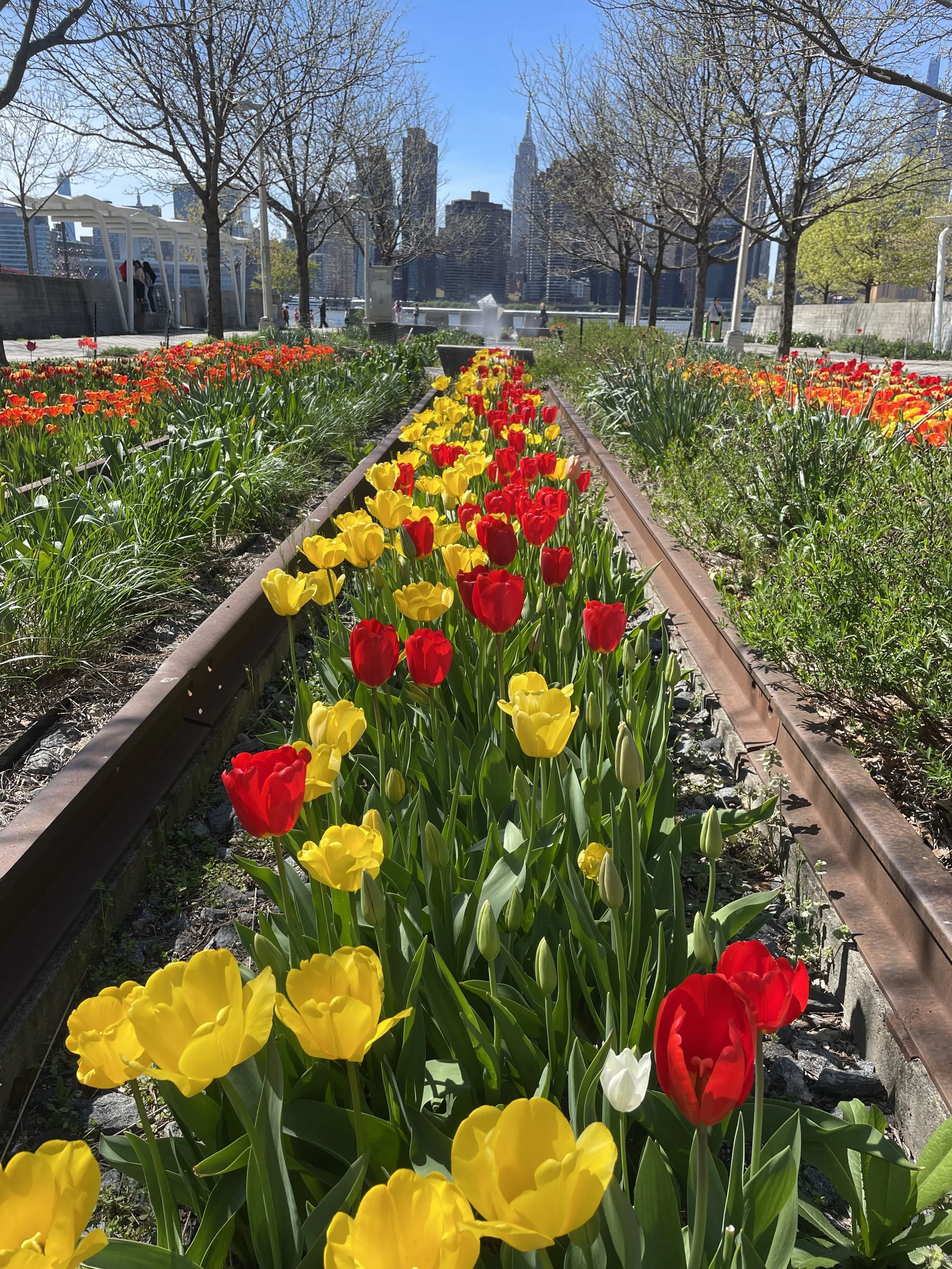 Hunters Point Parks Conservancy