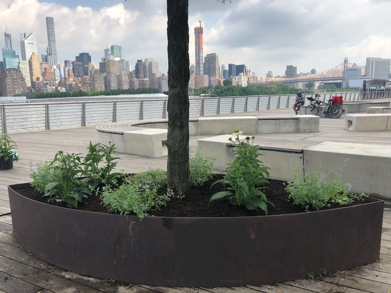 About Our Parks — Hunters Point Parks Conservancy