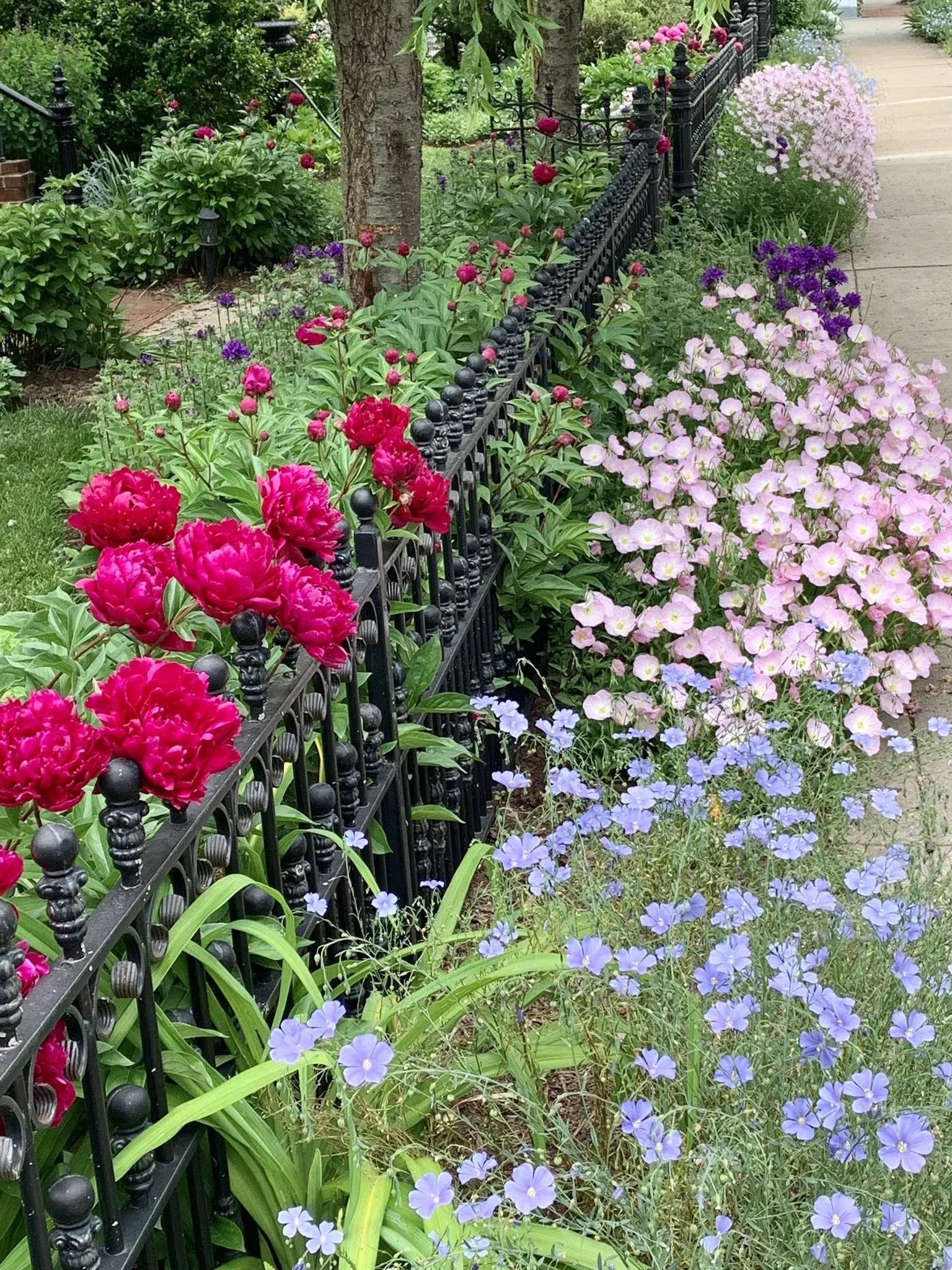 Back Alley Garden Tour & Tea — %about