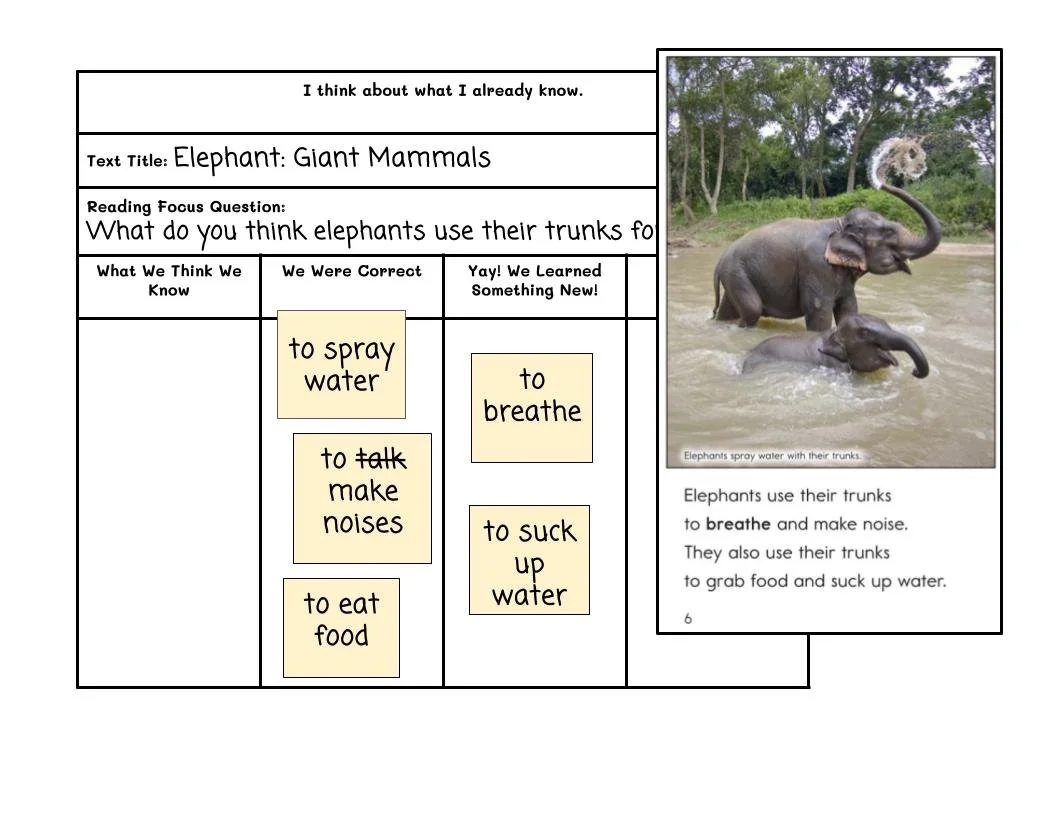 Accessing Background Knowledge Strategy — Loving Literacy with Jeanette ...