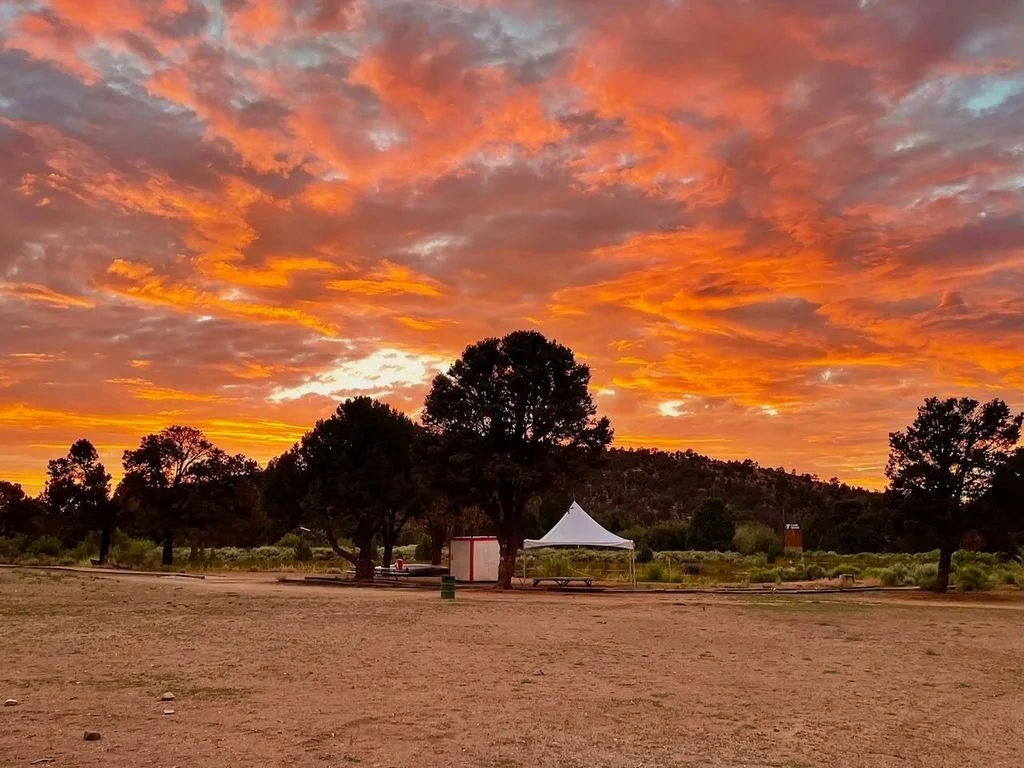 Access Granted, Camp for All