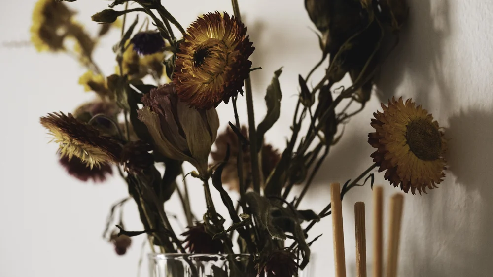 Point Lowly Cottages — Kata & Belle