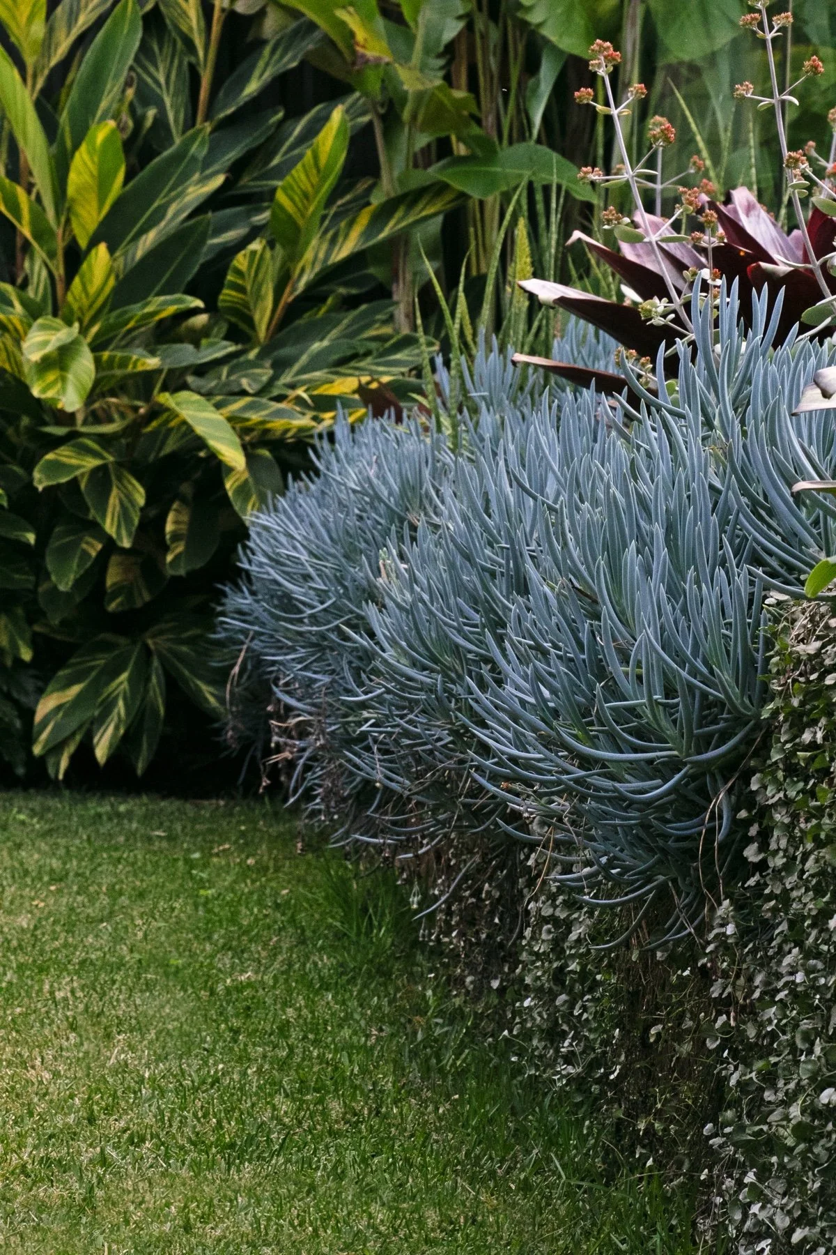 Landscapers Sutherland Shire Sydney — Reality Escapes Landscapes & Pools