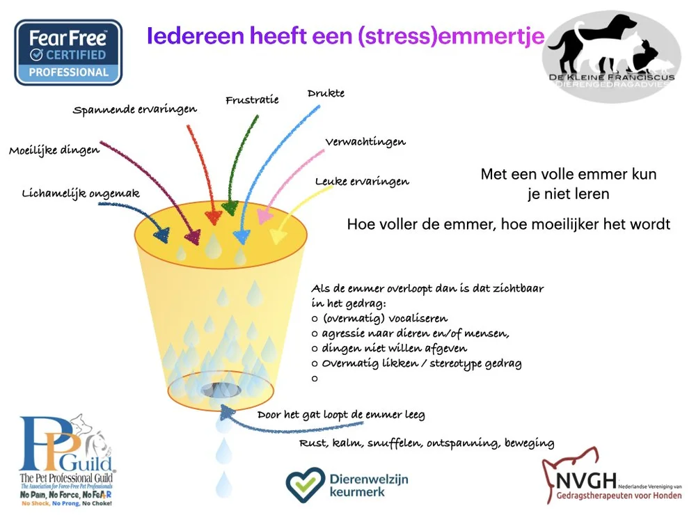 De stress emmer — De Kleine Franciscus