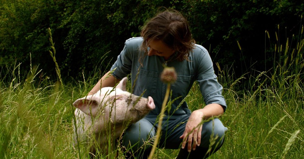 For Charlie open letter to RSPCA