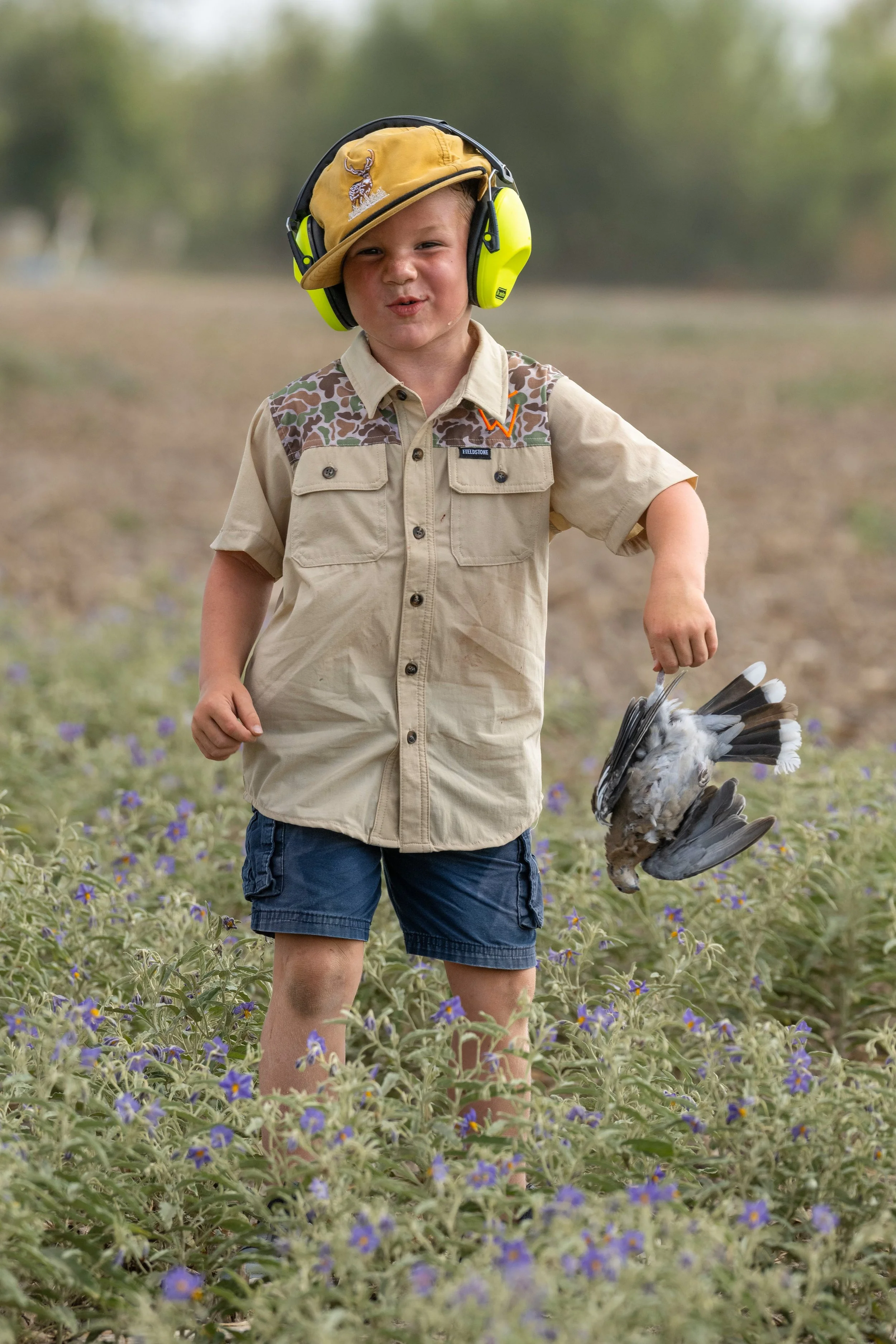 South Texas White Wing Hunts