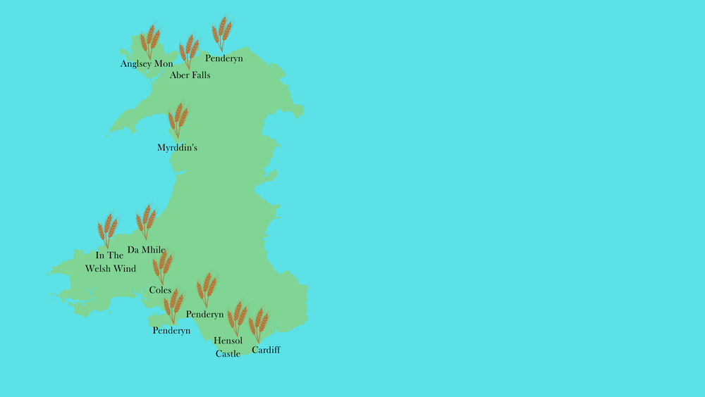 Welsh Whisky Distilleries | Discover Authentic Flavors — wws