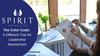 The Color Code: A Different Tool for Leadership Assessment — Spirit ...