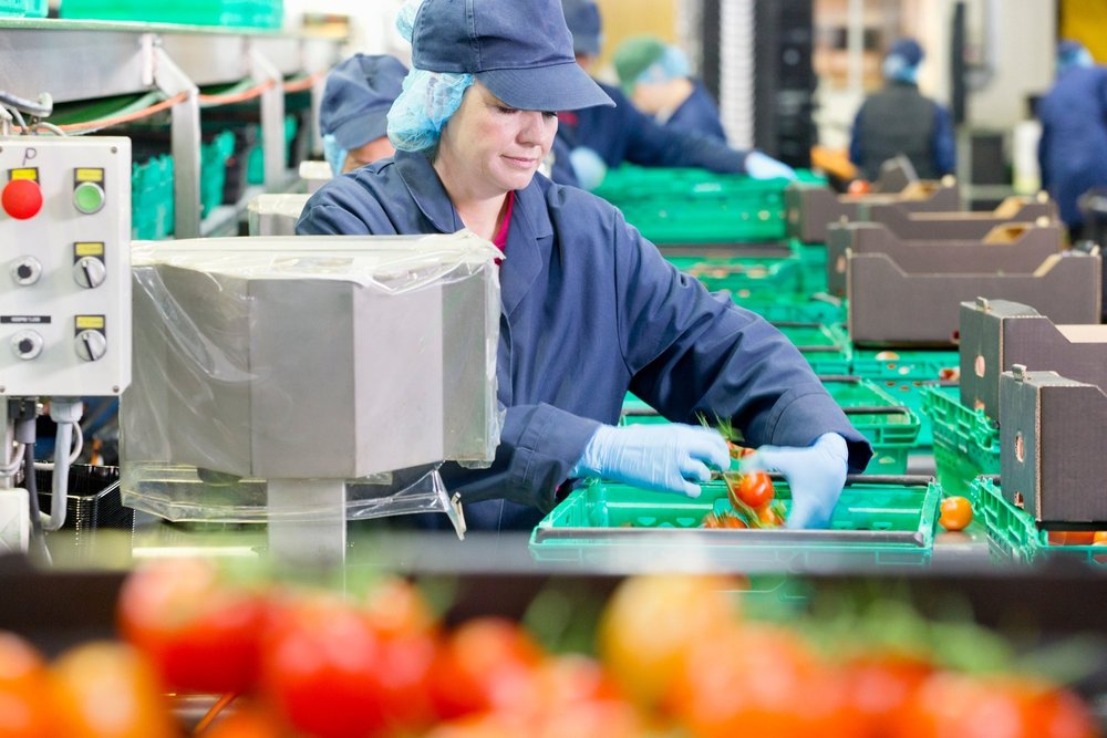Partner with Us | Innovative Food Manufacturing | Stir Foods