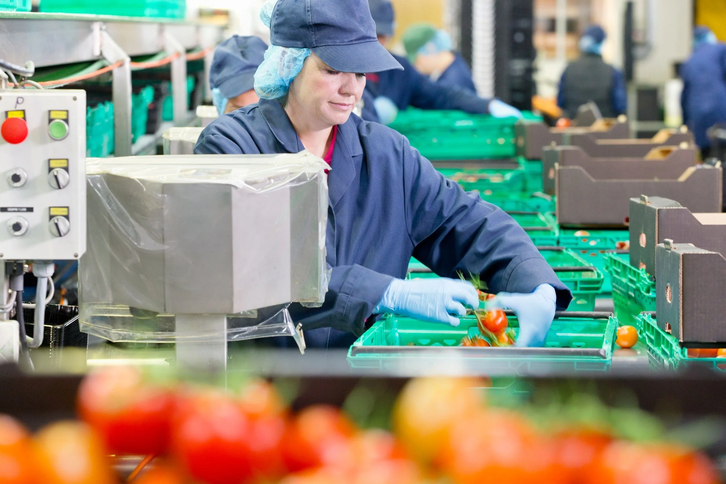Partner with Us | Innovative Food Manufacturing | Stir Foods