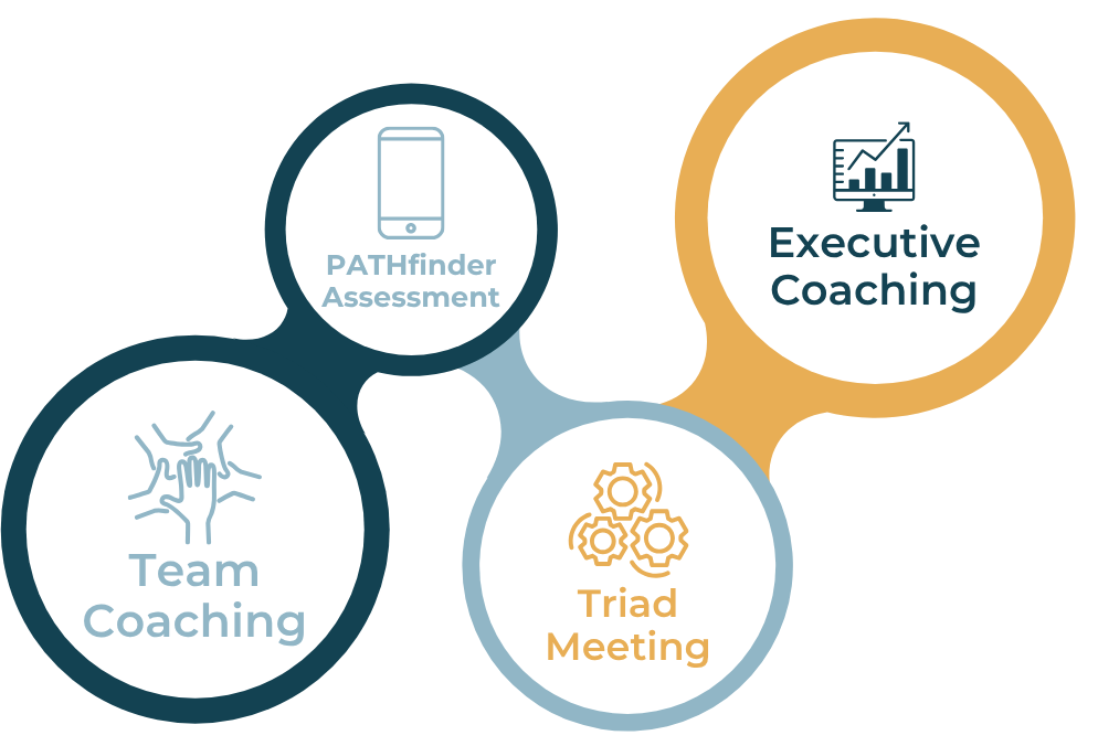 TruePath Consulting | Executive Coaching and Consulting