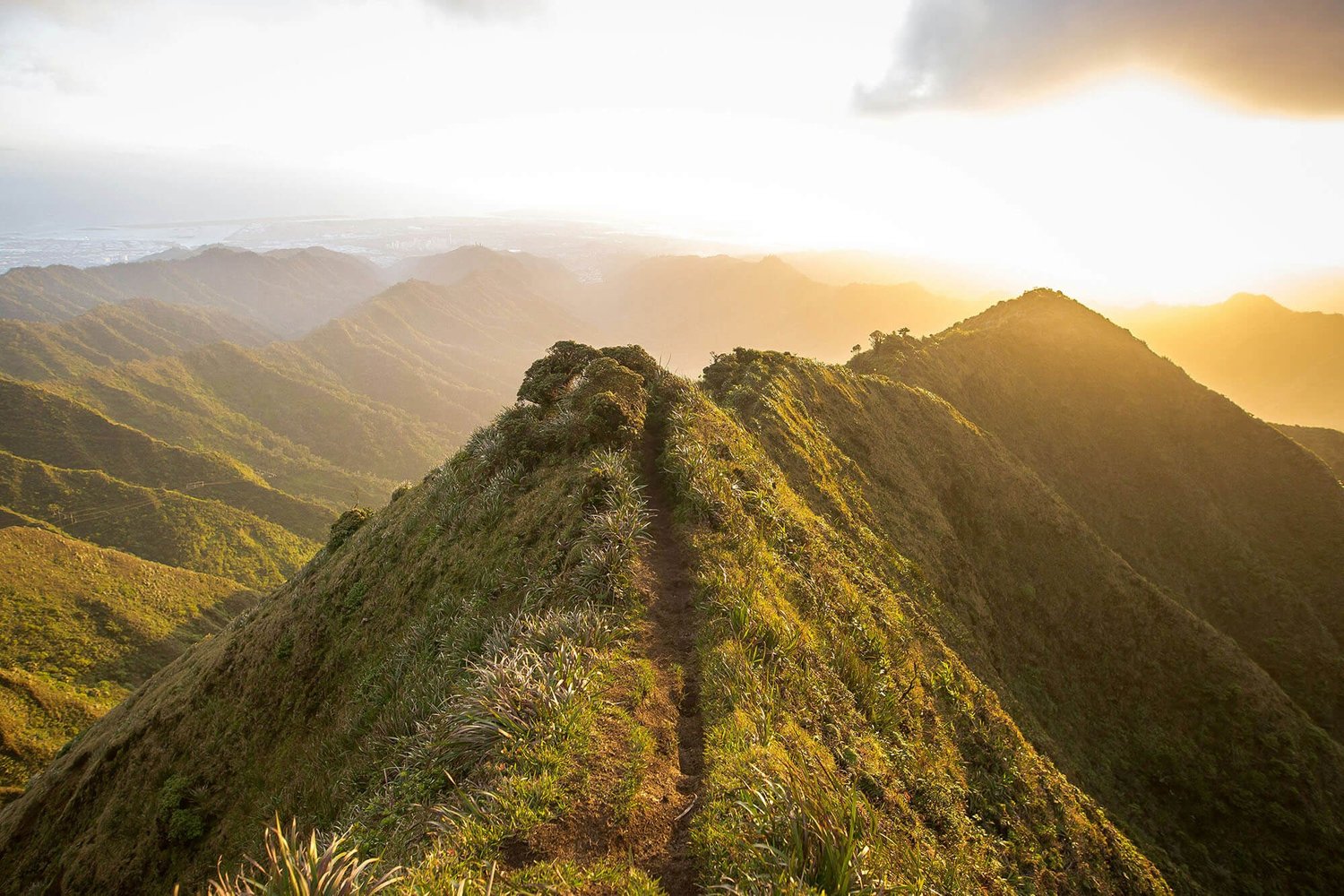 TruePath Consulting | Executive Coaching and Consulting