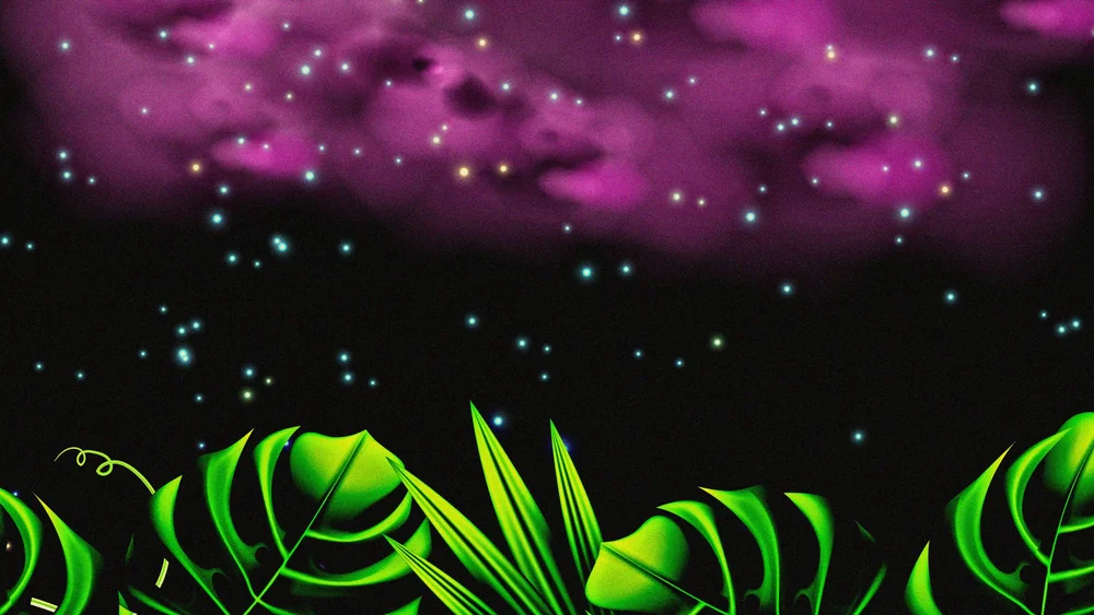 2025 Mempho Music Festival — Oct 3-5 — Radians Amphitheater