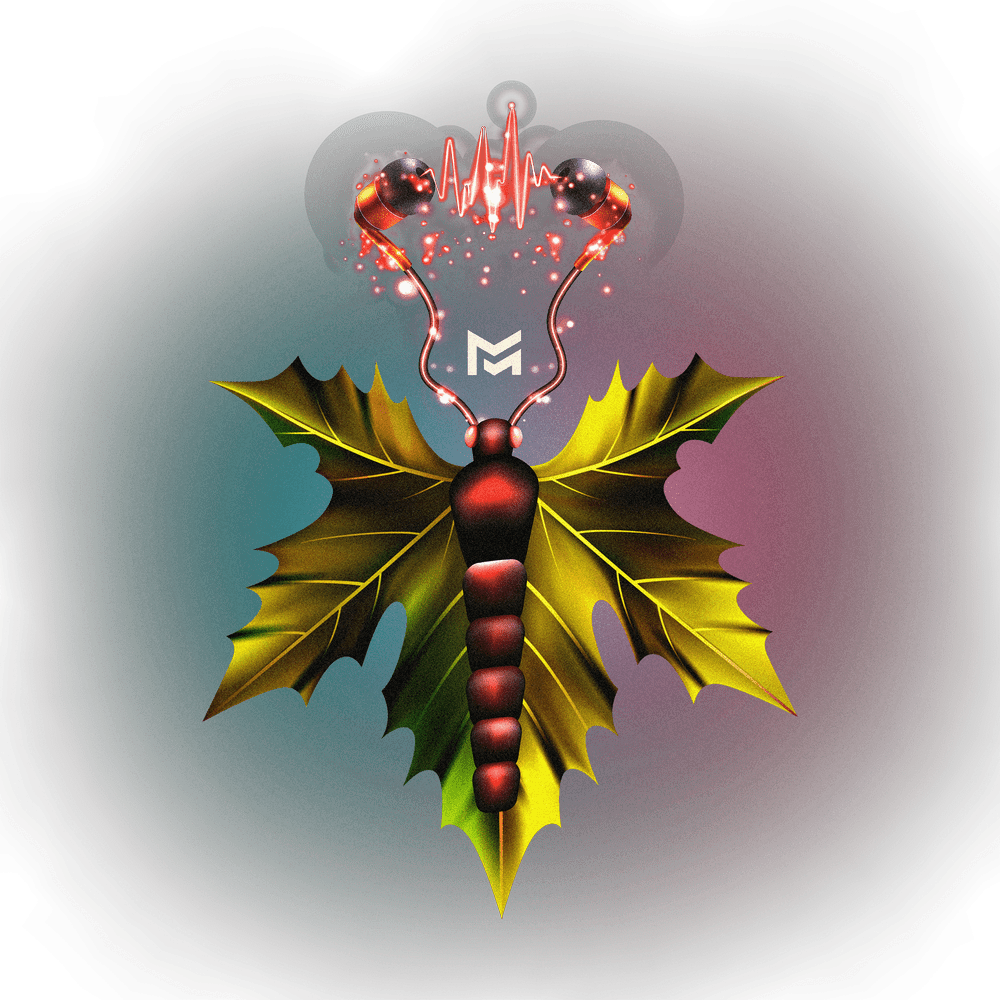 2024 Mempho Music Festival — Oct 4 - 6 — Radians Amphitheater