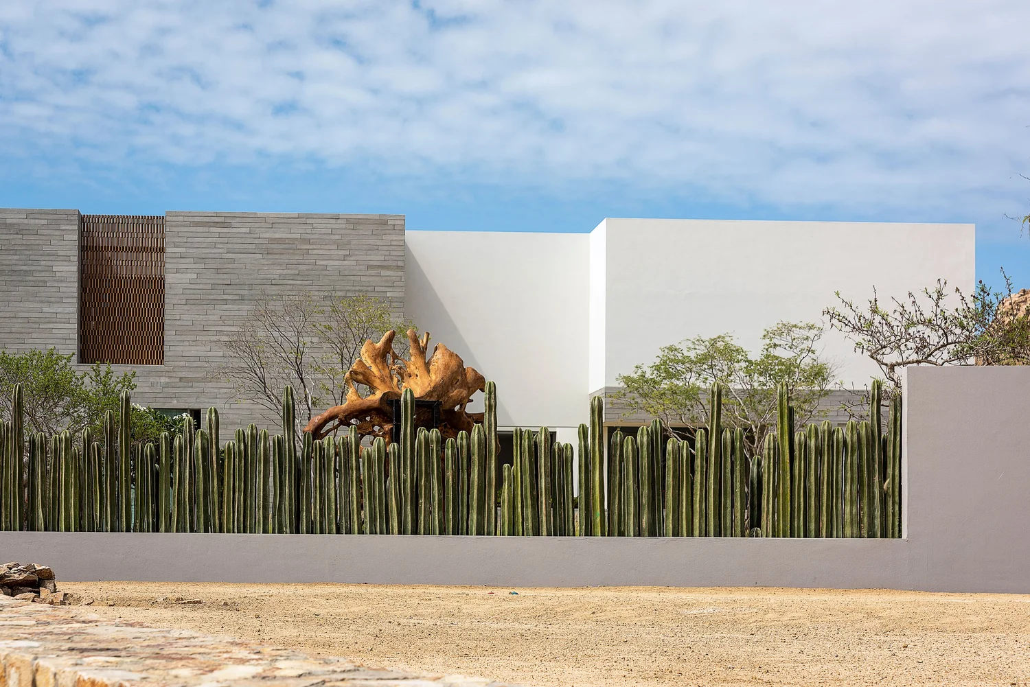 IMA — Ezequiel Farca Studio