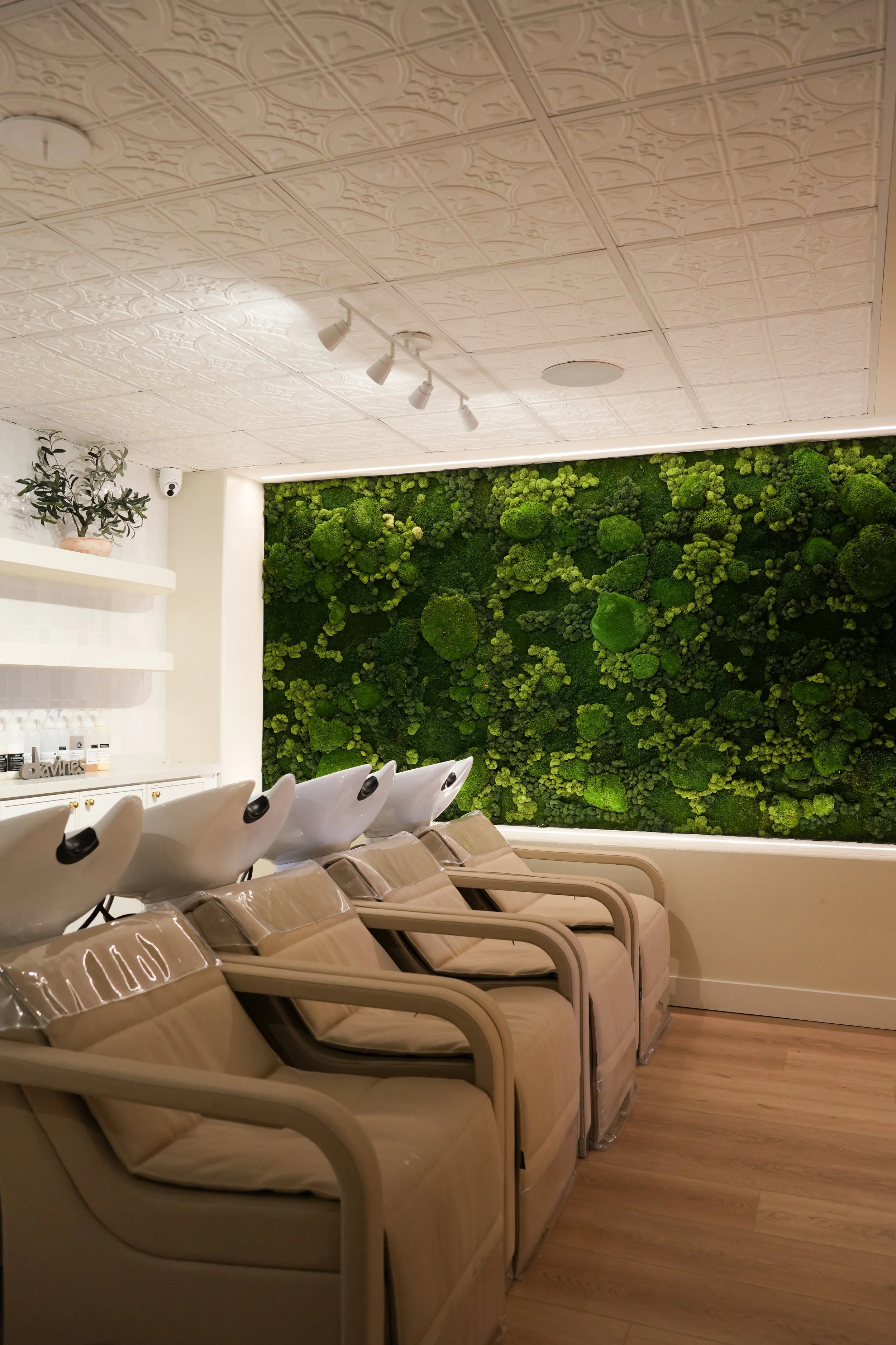 Best Salon La Jolla, CA | San Diego, CA | Belle Sirène Salon