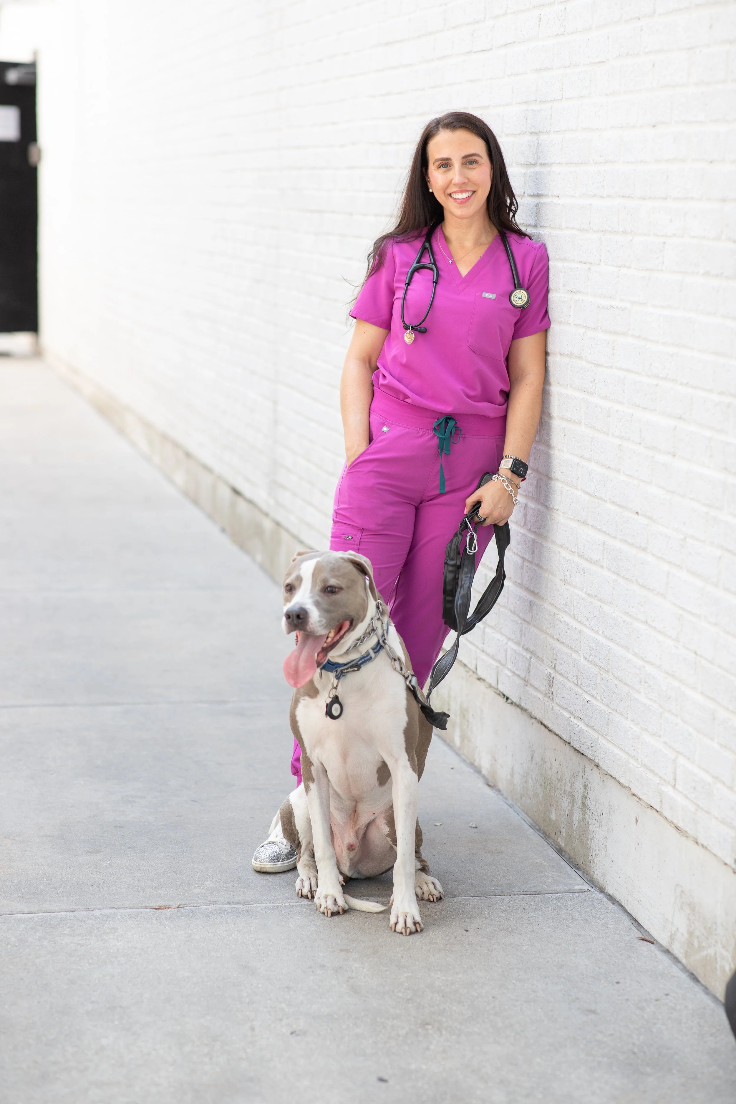 Southern Veterinary Services