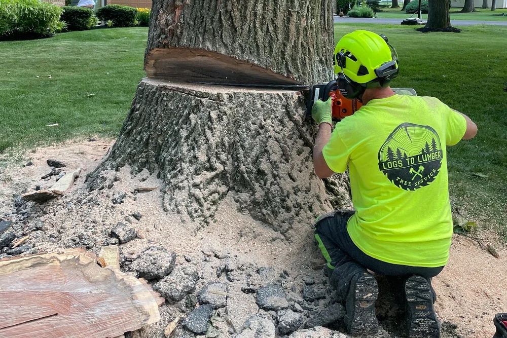 Logs to Lumber Tree Service