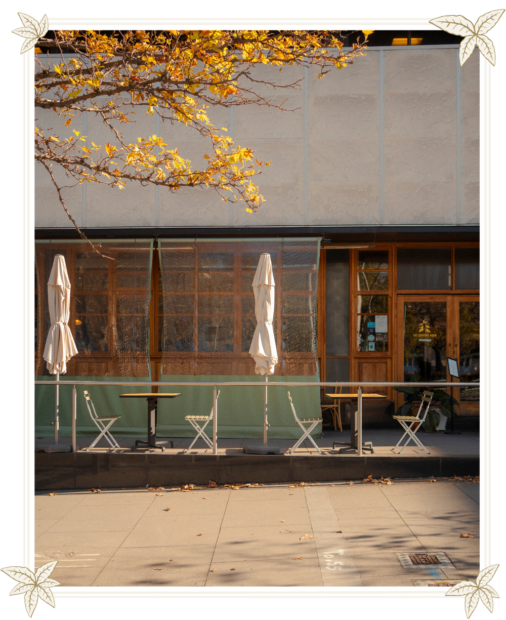 The Cupping Room | Brunch Cafe Canberra | Coffee Near Me | Cafe Near Me ...
