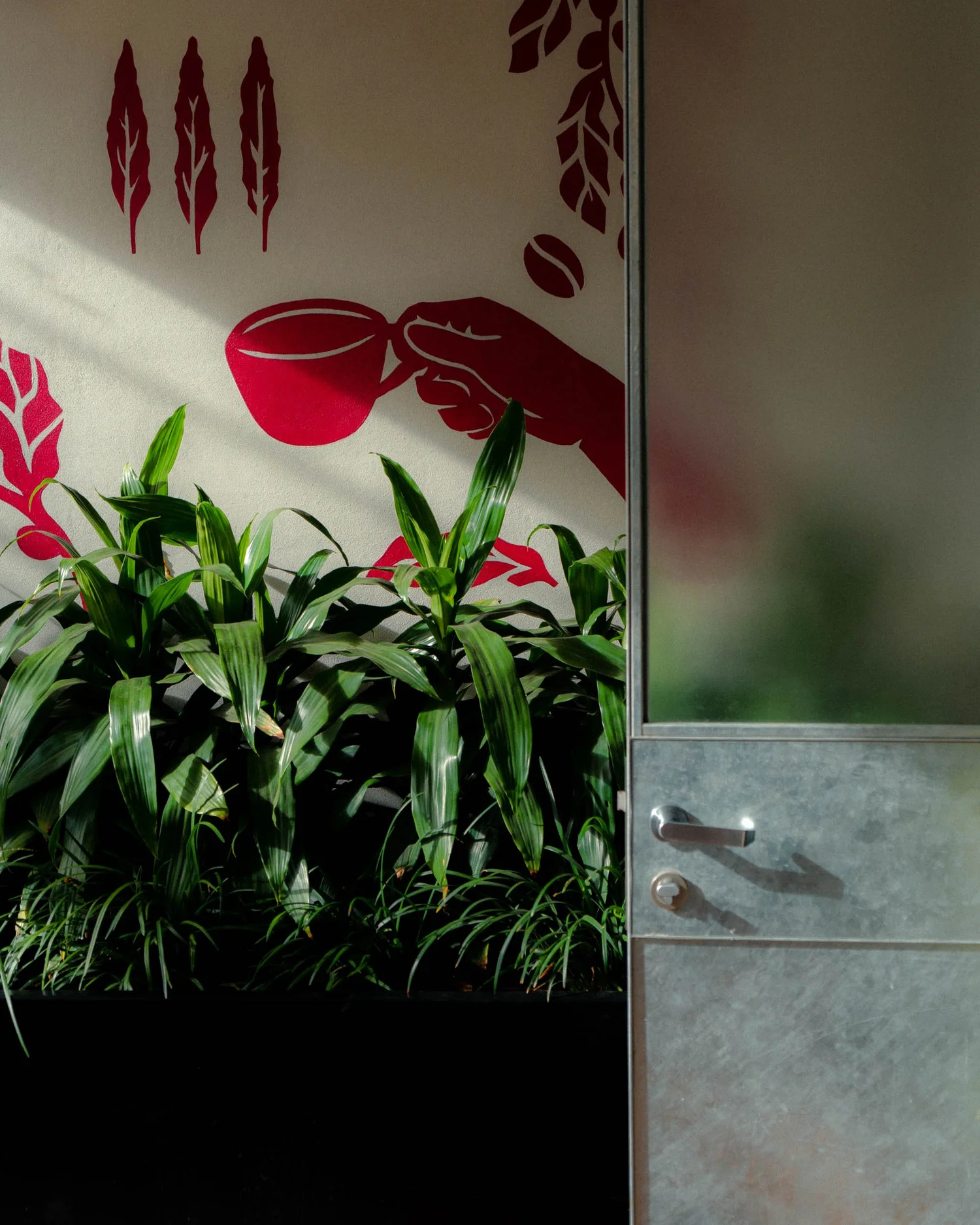 ONA Coffee Sydney | Cafe Marrickville | Coffee Marrickville | Coffee ...