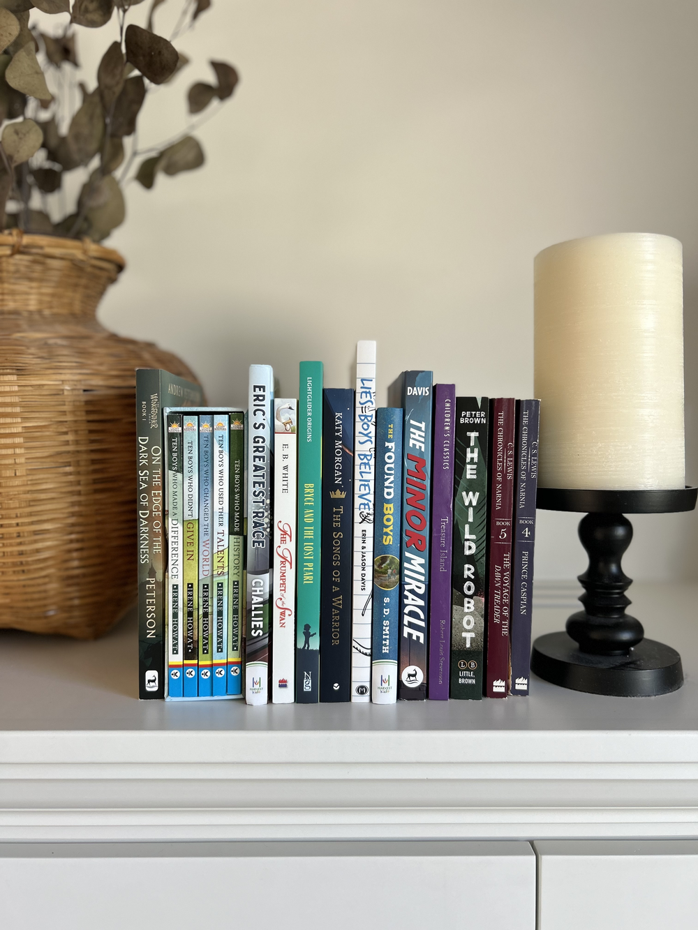 Books for Boys: Best Picture Books, Chapter Books & Nonfiction — A Good ...
