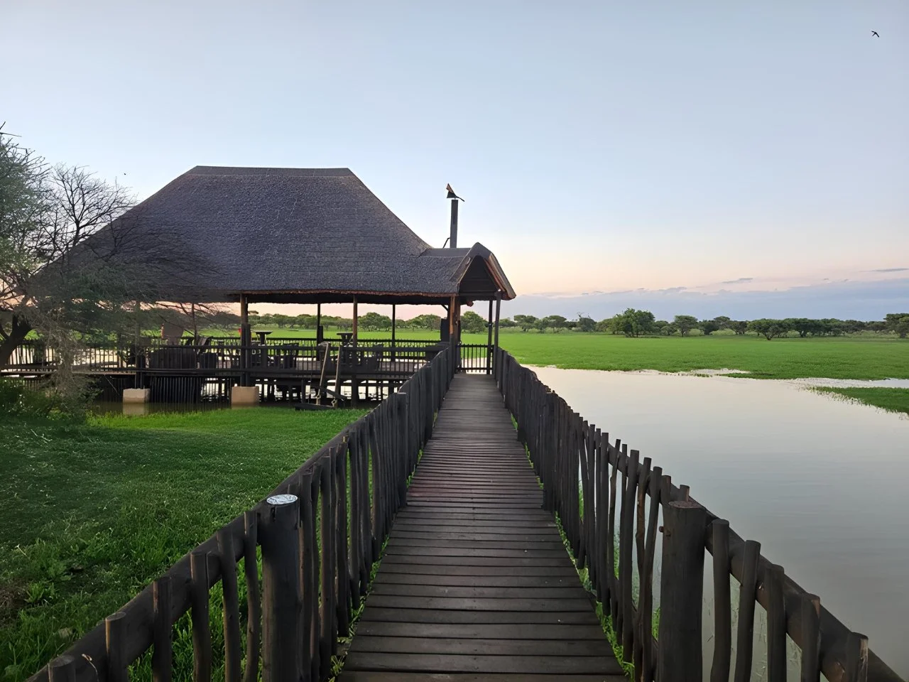 Berendina Wildsplaas: Premier Safari & Hunting