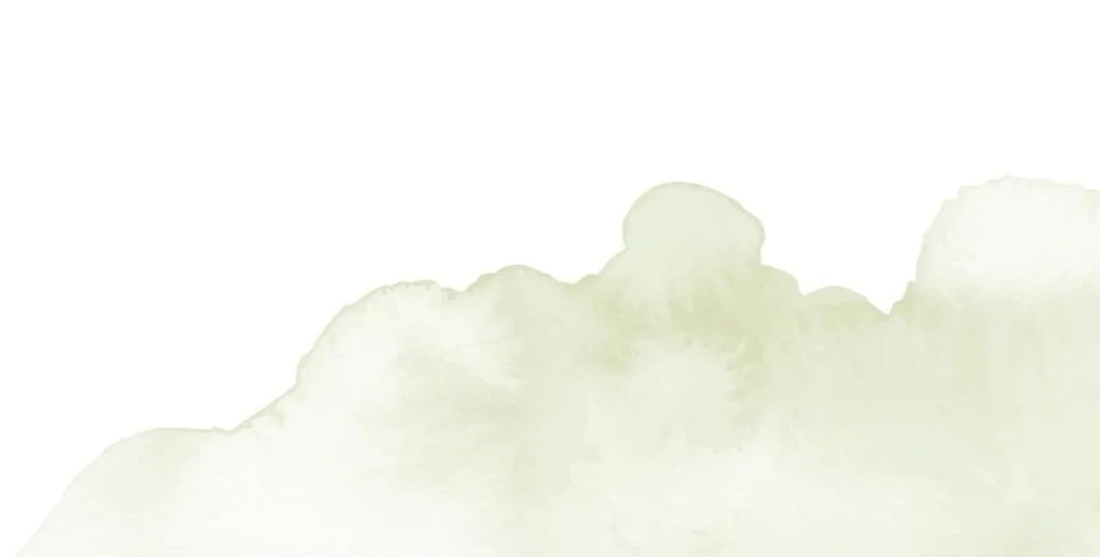 anna dolan fine art & floral design