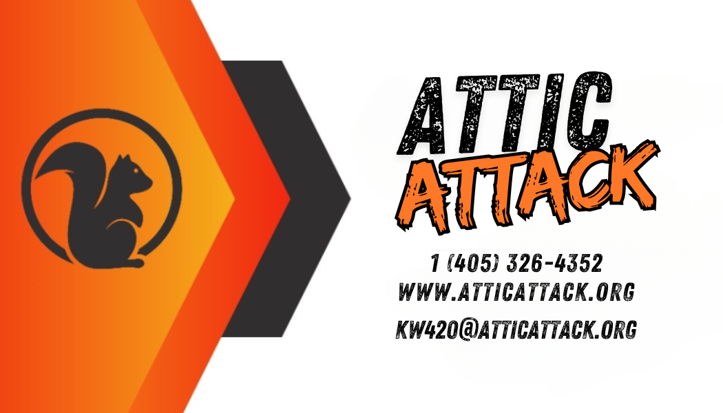 Attic Attack insulation