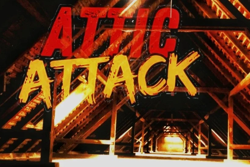 Attic Attack Home