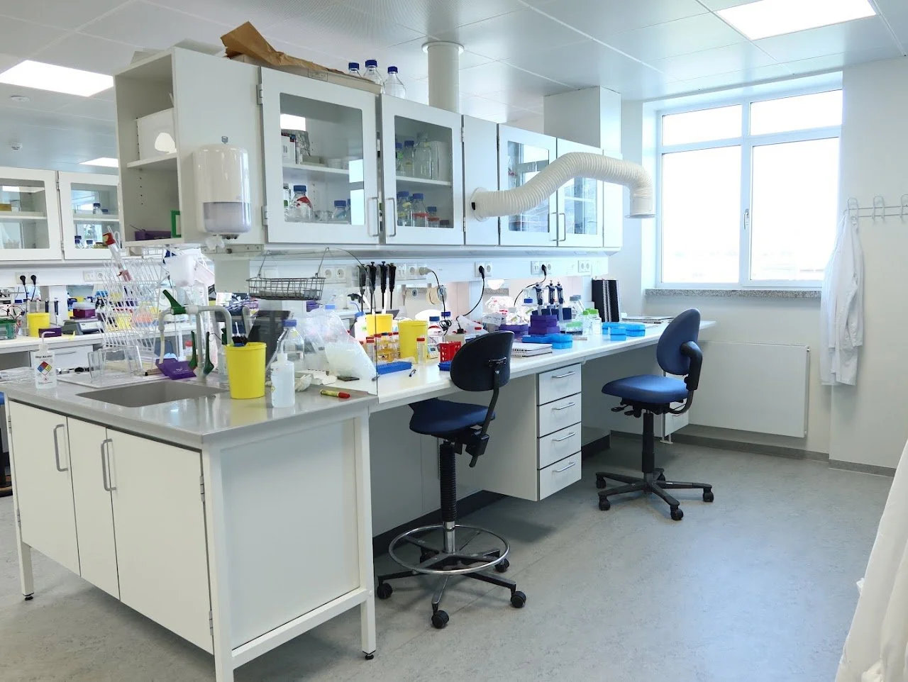 About DANDRITE — Thomas Kim Lab