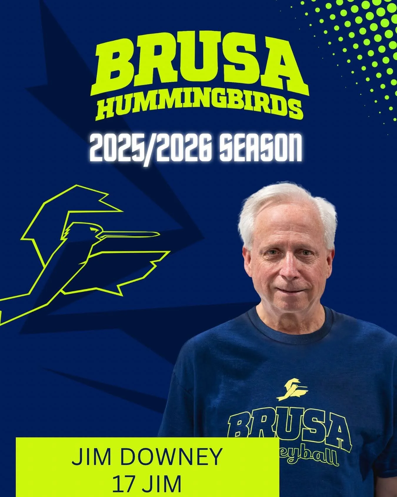 Brusa Volleyball Club