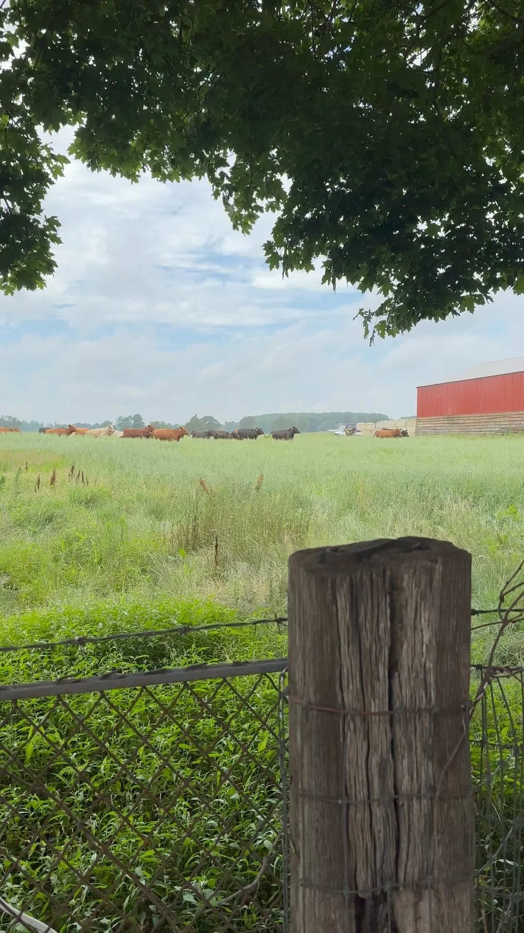 Bowser Family Farms | Pasture-Raised Beef & Pork | Specialty Meats ...