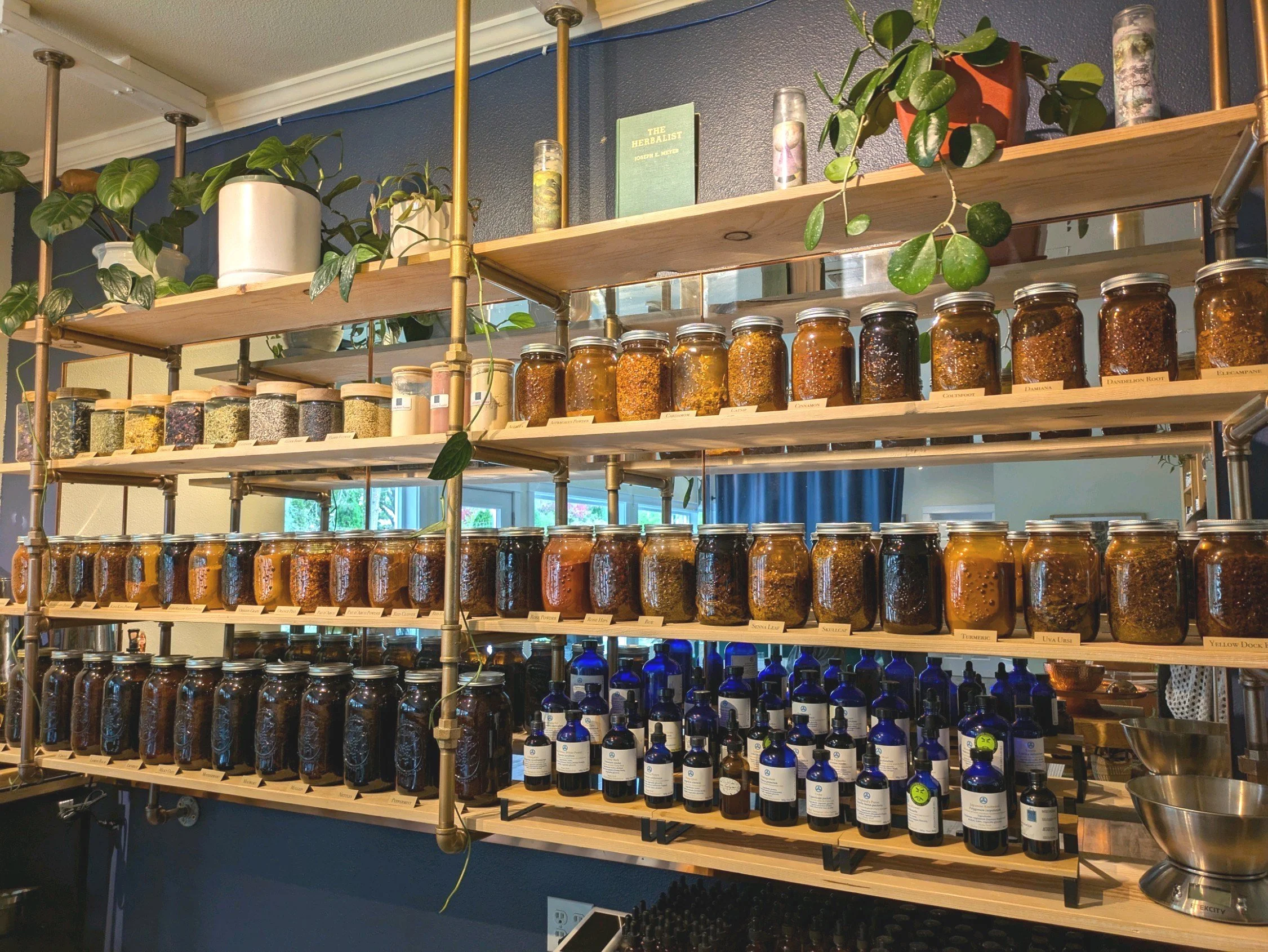 About — Wildflower Apothecary