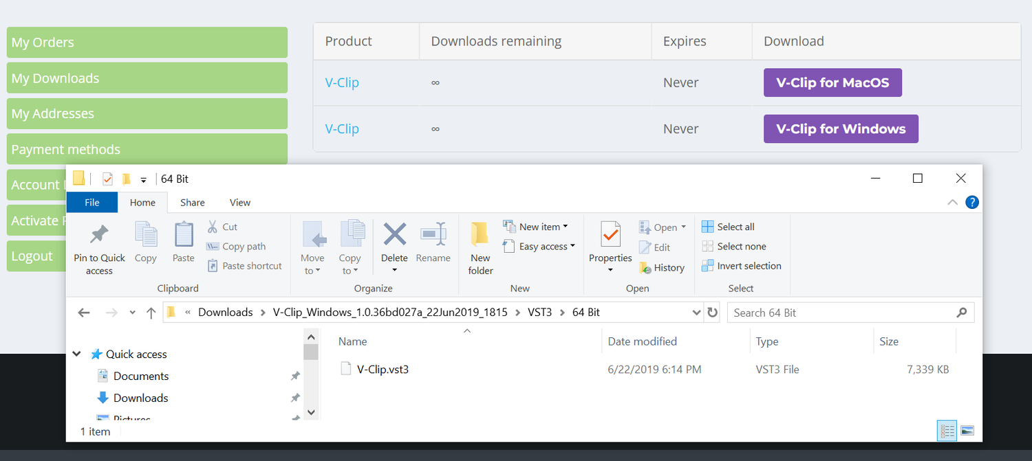 FL Studio Plugin Management (Part 1) — LETT Music Productions