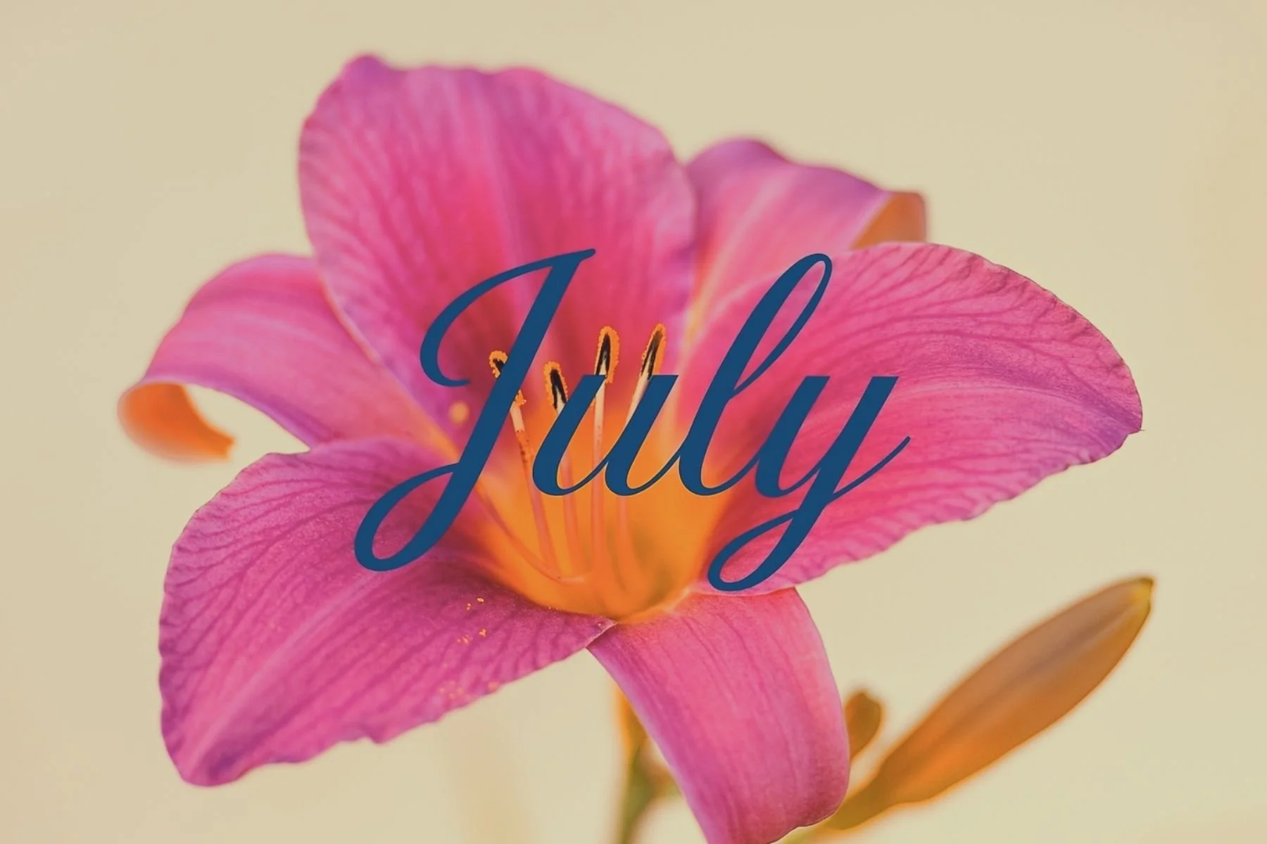 Our Daily Lifestyles | Women's Lifestyle Blog