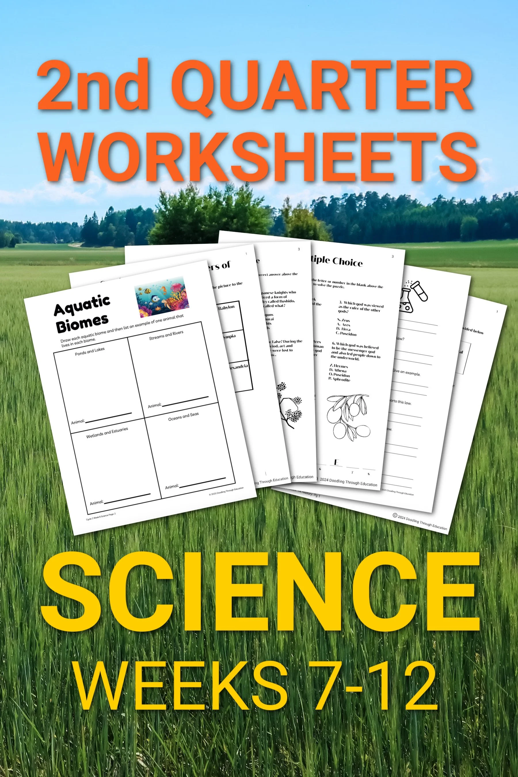 Shop — Doodling Through Education