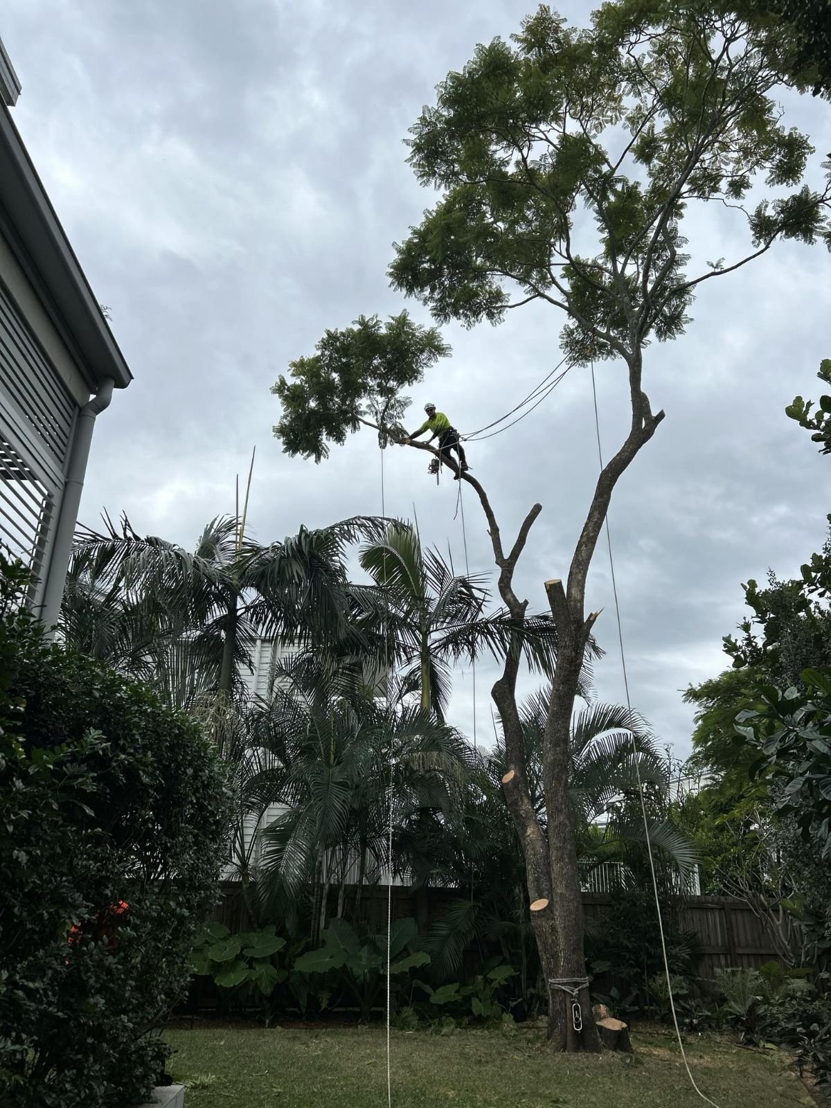 TK Tree Services Pty Ltd